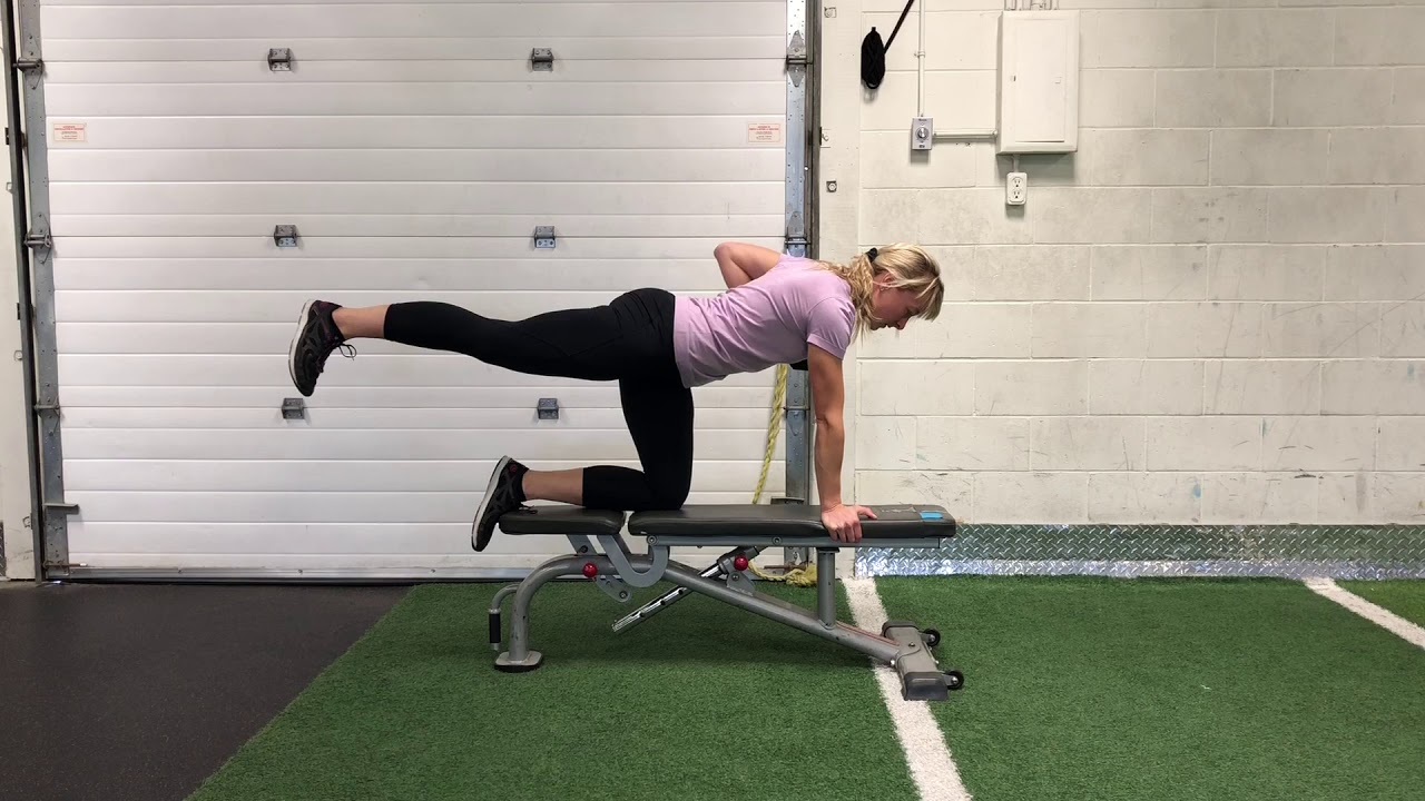 Bench Quadruped Row - YouTube