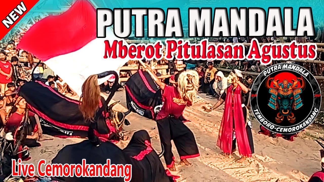 BANTENGAN PUTRA MANDALA | MBEROT PITULASAN AGUSTUS | Live Temboro ...