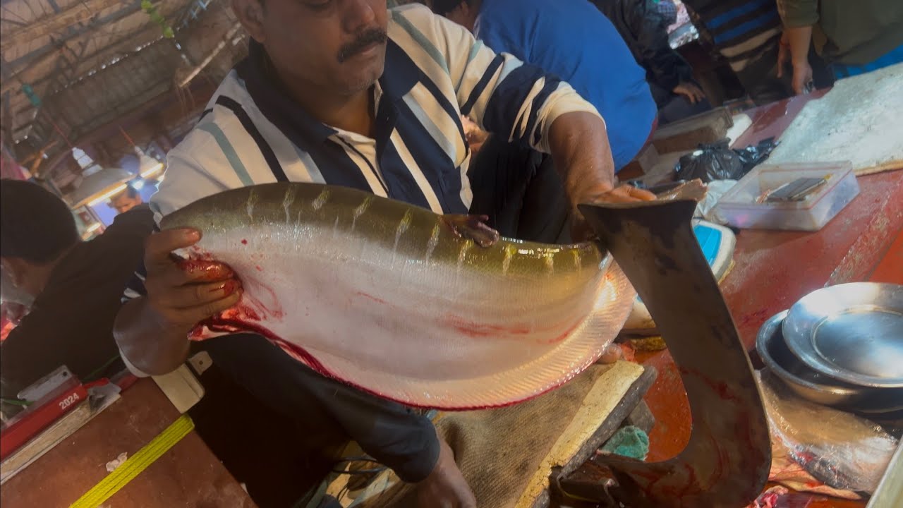 Giant chital Fish Cutting By babu sona Fish Cutter | Fish Cutting ...