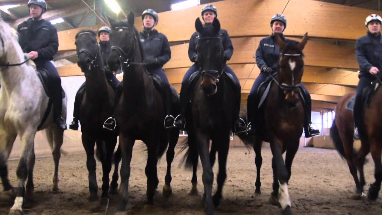 Reiterstaffel - YouTube