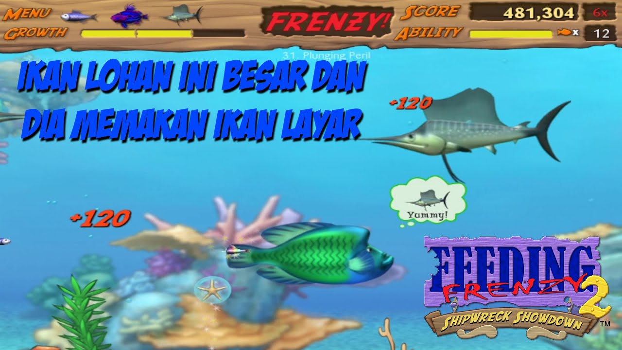 IKAN LOHAN KU BERWARNA HIJAU!! TAPI DIA SUKA MEMAKAN IKAN LAYAR ...