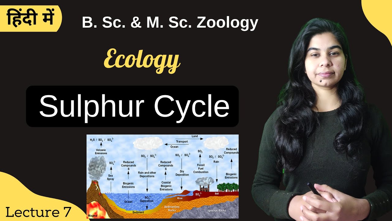 Sulphur Cycle || B. Sc. & M. Sc. || Zoology - YouTube