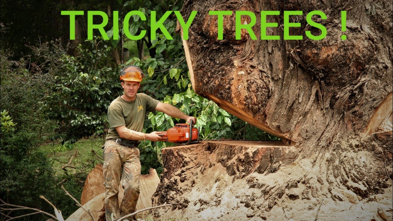 TRICKY TREES - YouTube