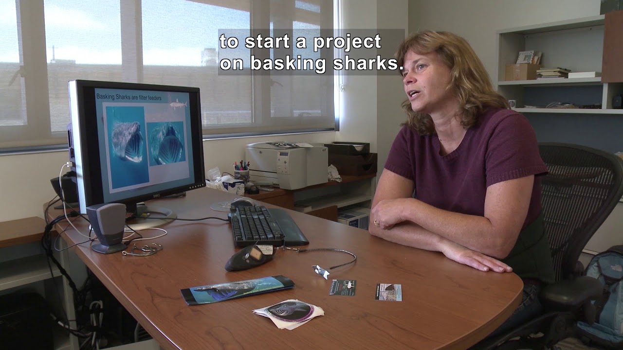 The Science Behind: Tagging Basking Sharks (Accessible Preview) - YouTube