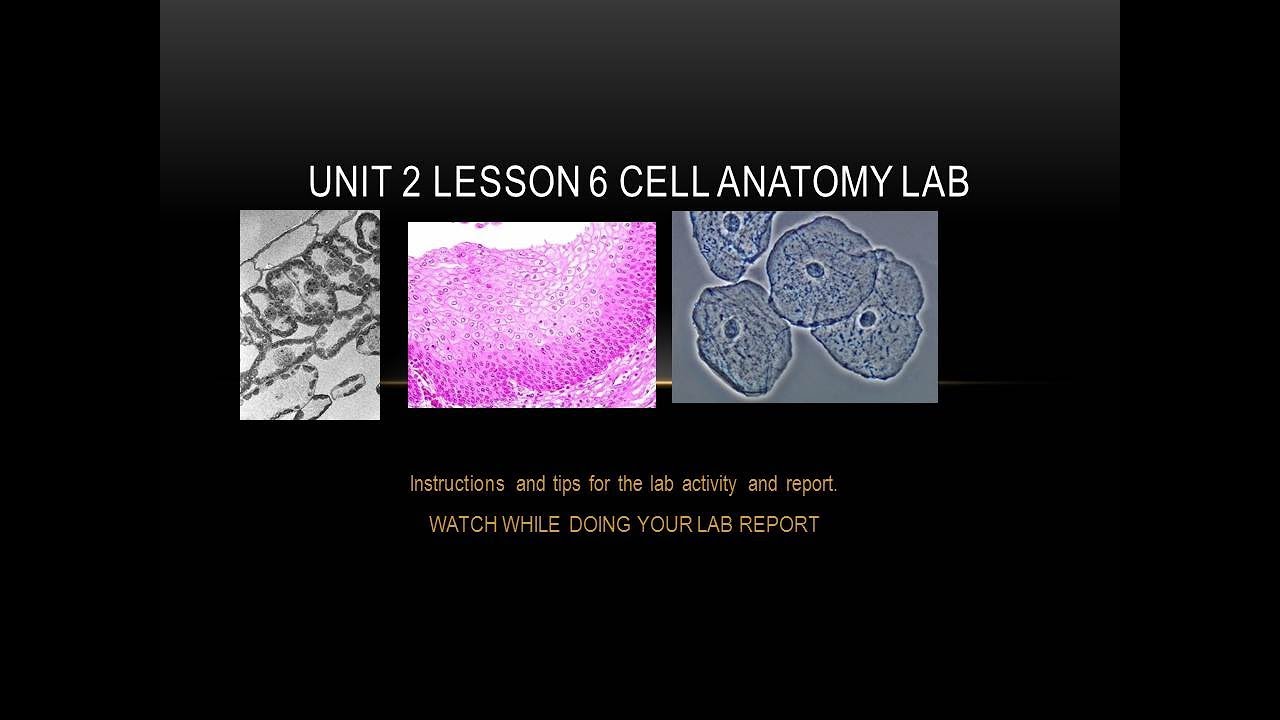 Science 10: Cell Anatomy Lab - YouTube