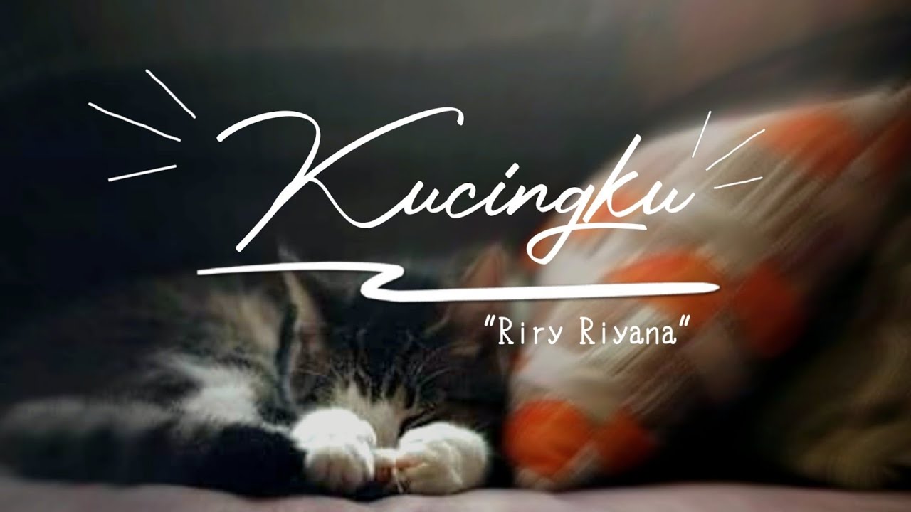 Kucingku || Musikalisasi Puisi (Riry) - YouTube