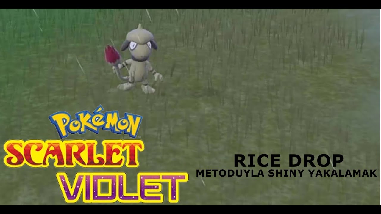-Rice Drop metodu ile shiny smeargle yakaladık- Pokemon Scarlet Ve ...