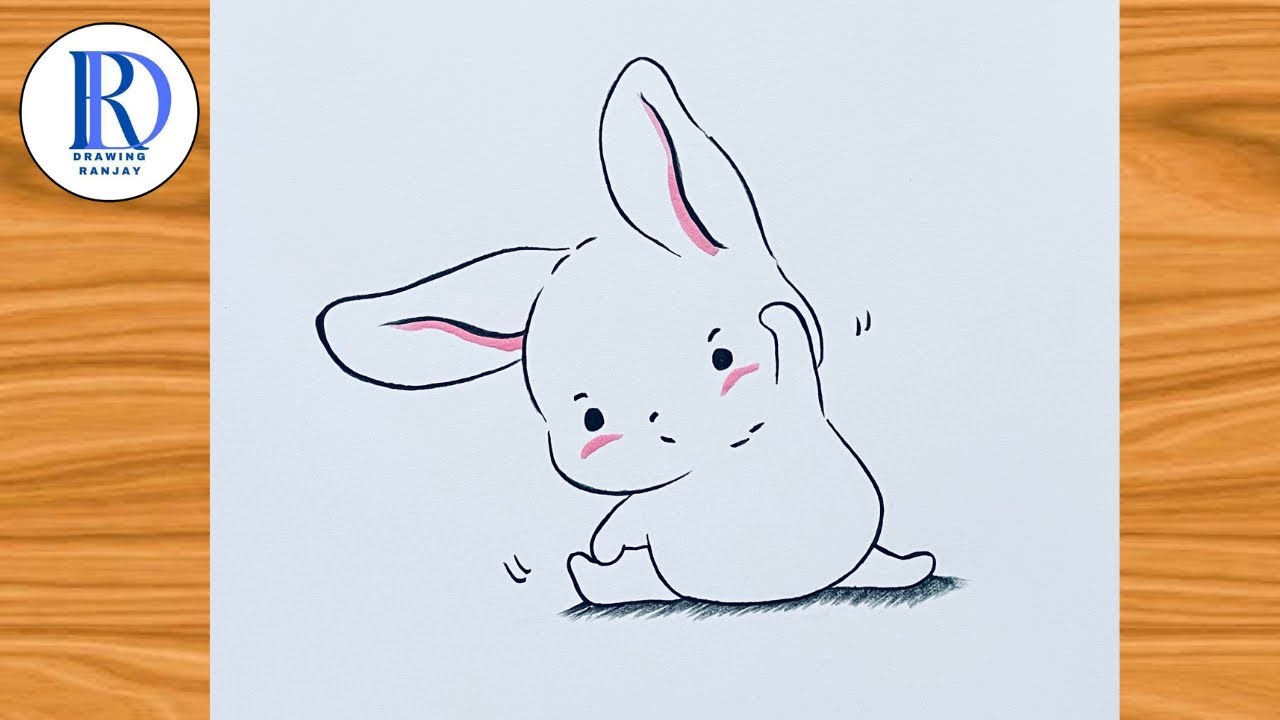 How to draw a Rabbit || Easy drawing for beginners - YouTube