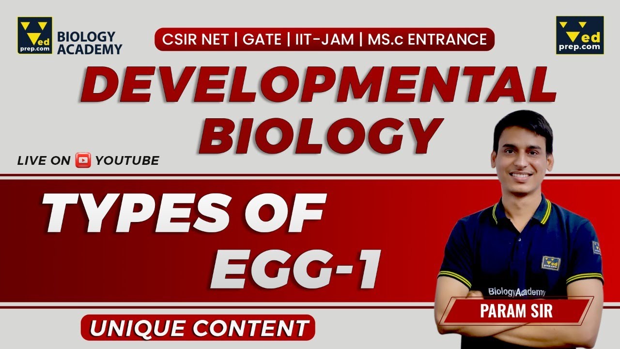 Types OF Eggs (Developmental Biology) | Microlecithal , Mesolecithal ...