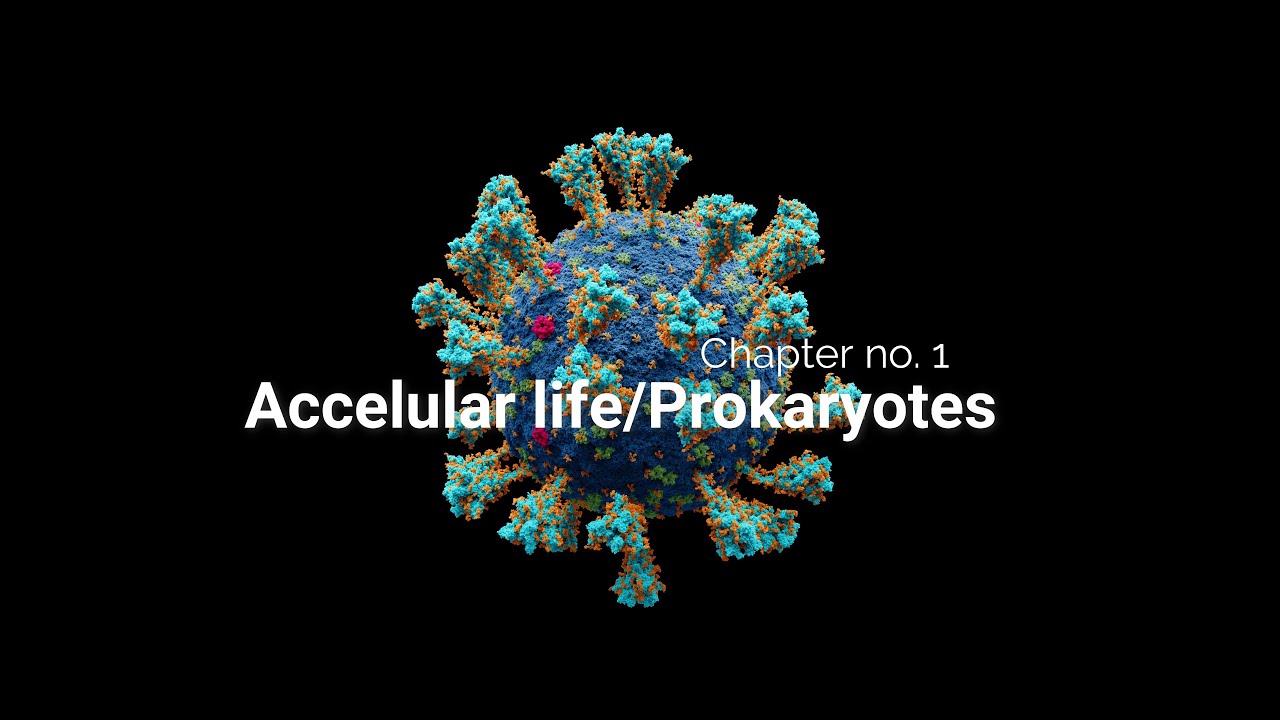 Risen Academy | Important Points| Quick Rev | NMDCAT and FSC Chapter ...