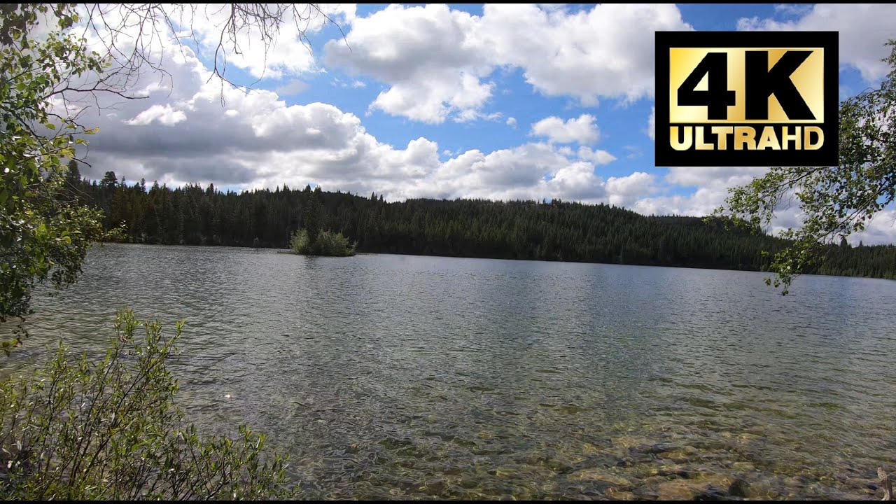 Virtual Hiking: McConnell Lake loop at McConnell lake Provincial park ...