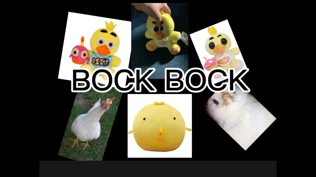 All bock bock episodes - YouTube