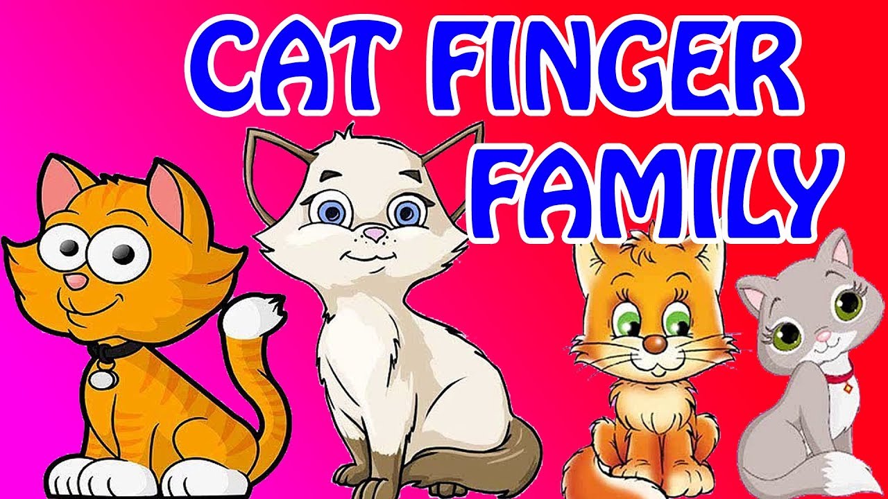 CAT FINGER FAMILY | CAT Nursery Rhymes for Children 3D Animation - YouTube