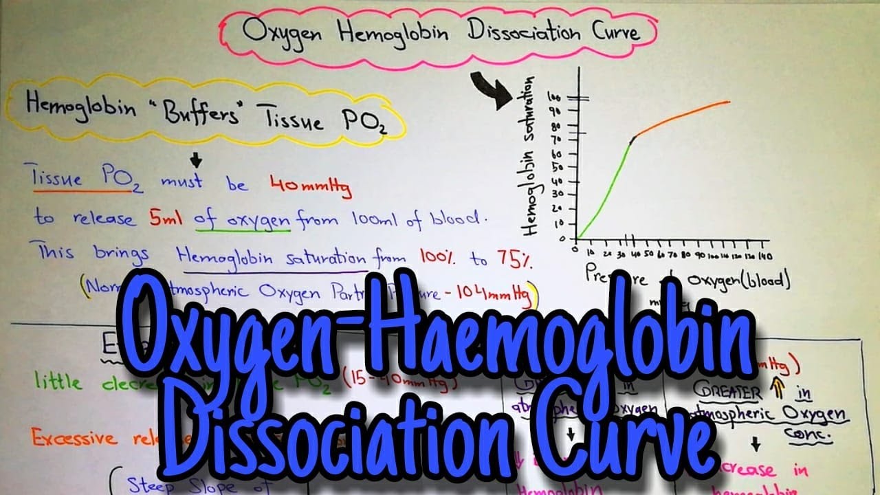 Oxygen Hemoglobin Dissociation Curve. Chapter 41 part 3. Guyton and ...