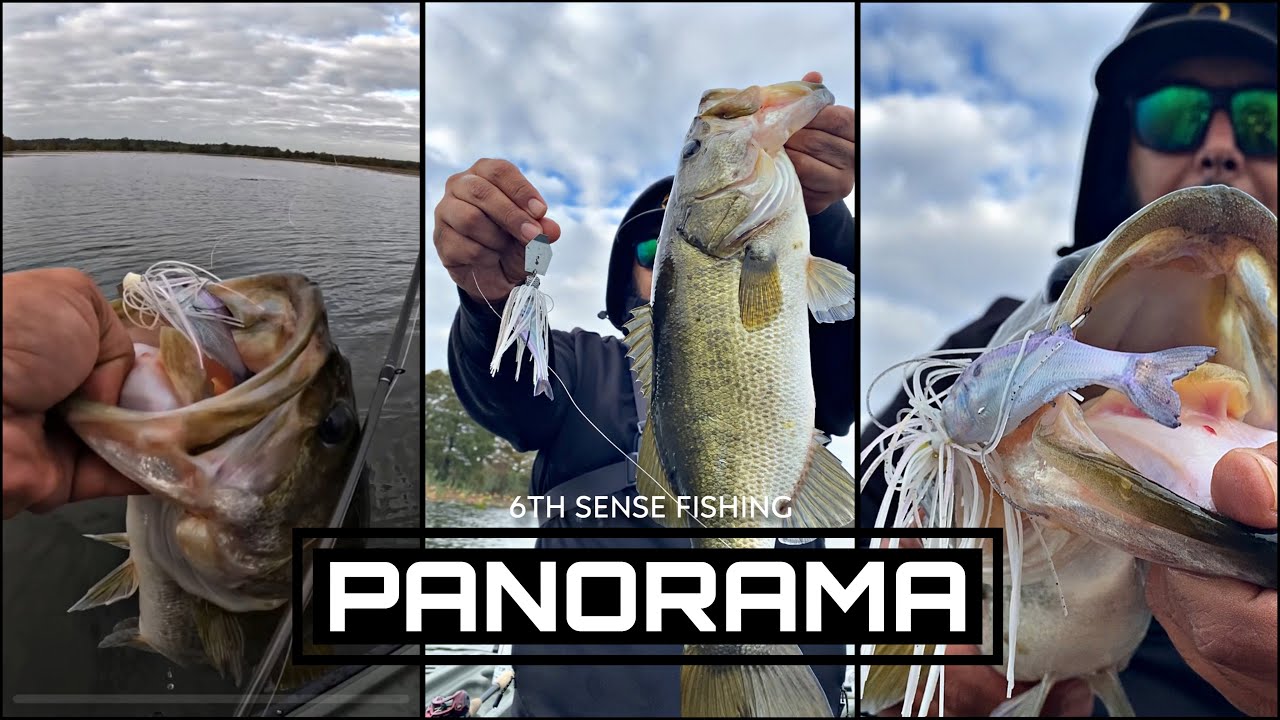 How I Rig the #panorama By 6th Sense Fishing on my #bladedjig to catch ...