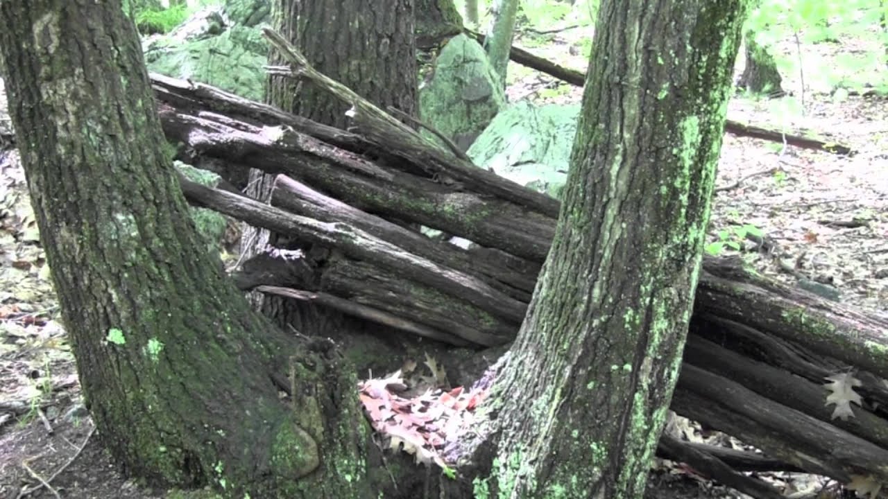Hideouts "In The Woods Near You" - YouTube