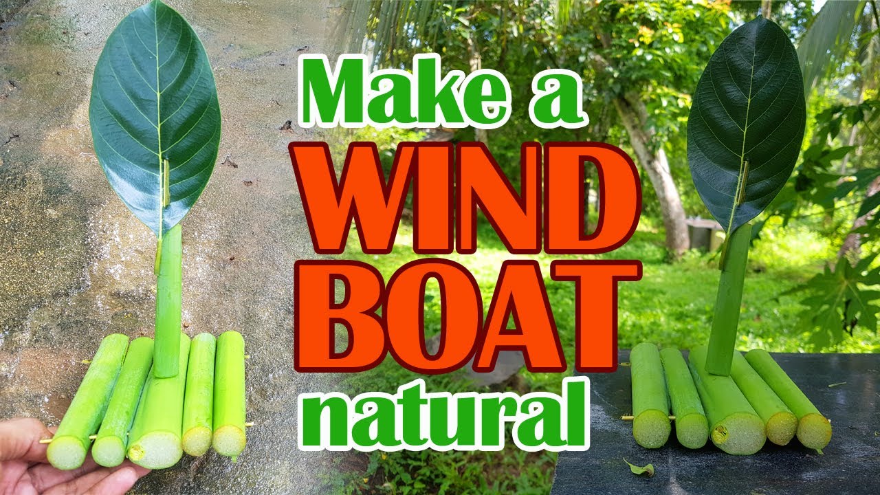 How to make toy wind boat natural - YouTube