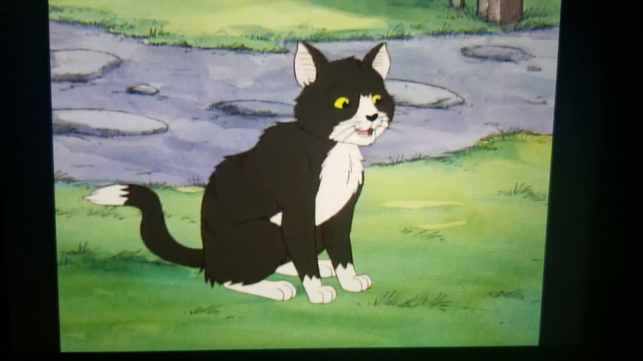 Cat - Little Bear Sing a Song - YouTube