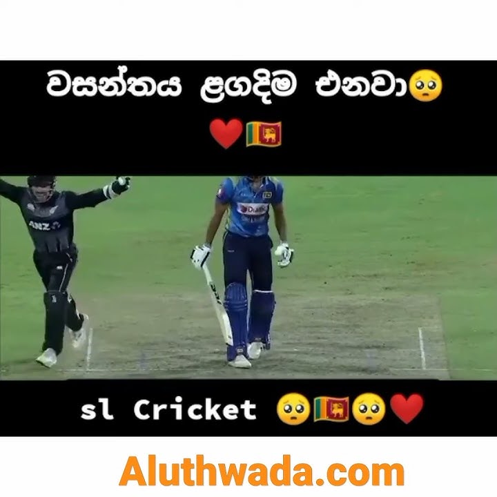 වසන්තය එනවා සත්තයි Youtube