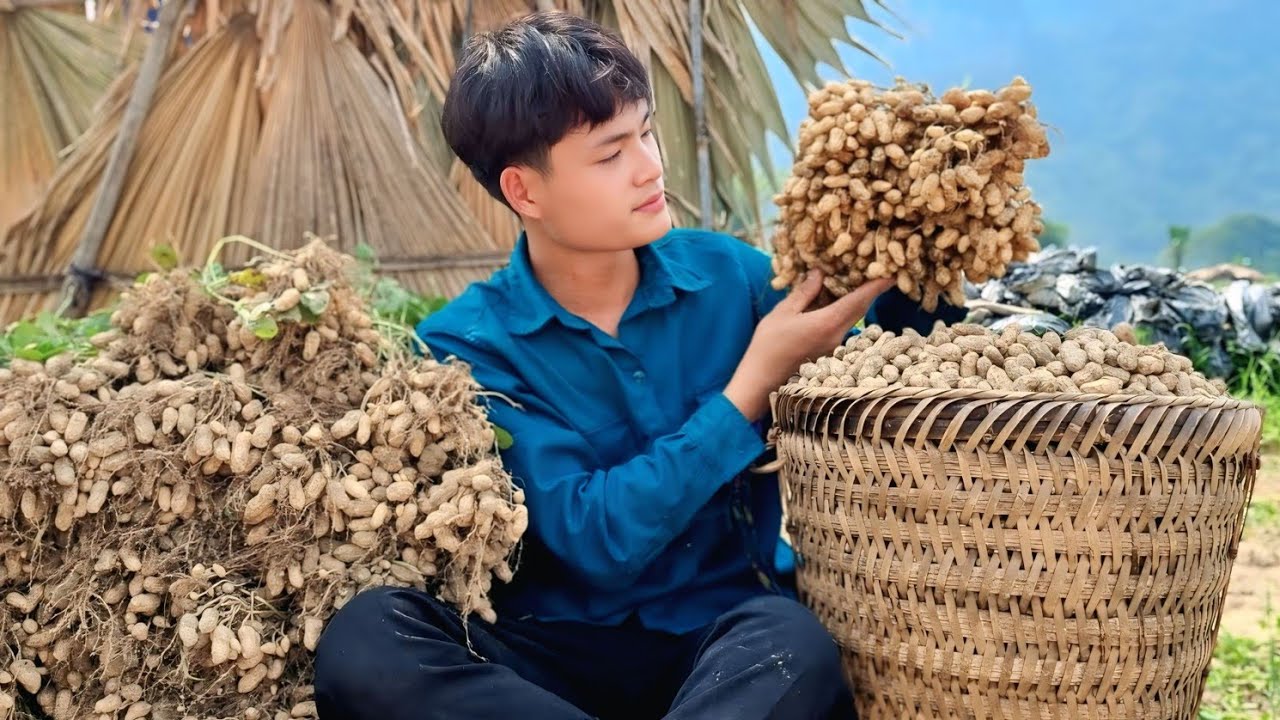 Harvest vegetables, Peanuts, Bring to market to sell, My daily life ...