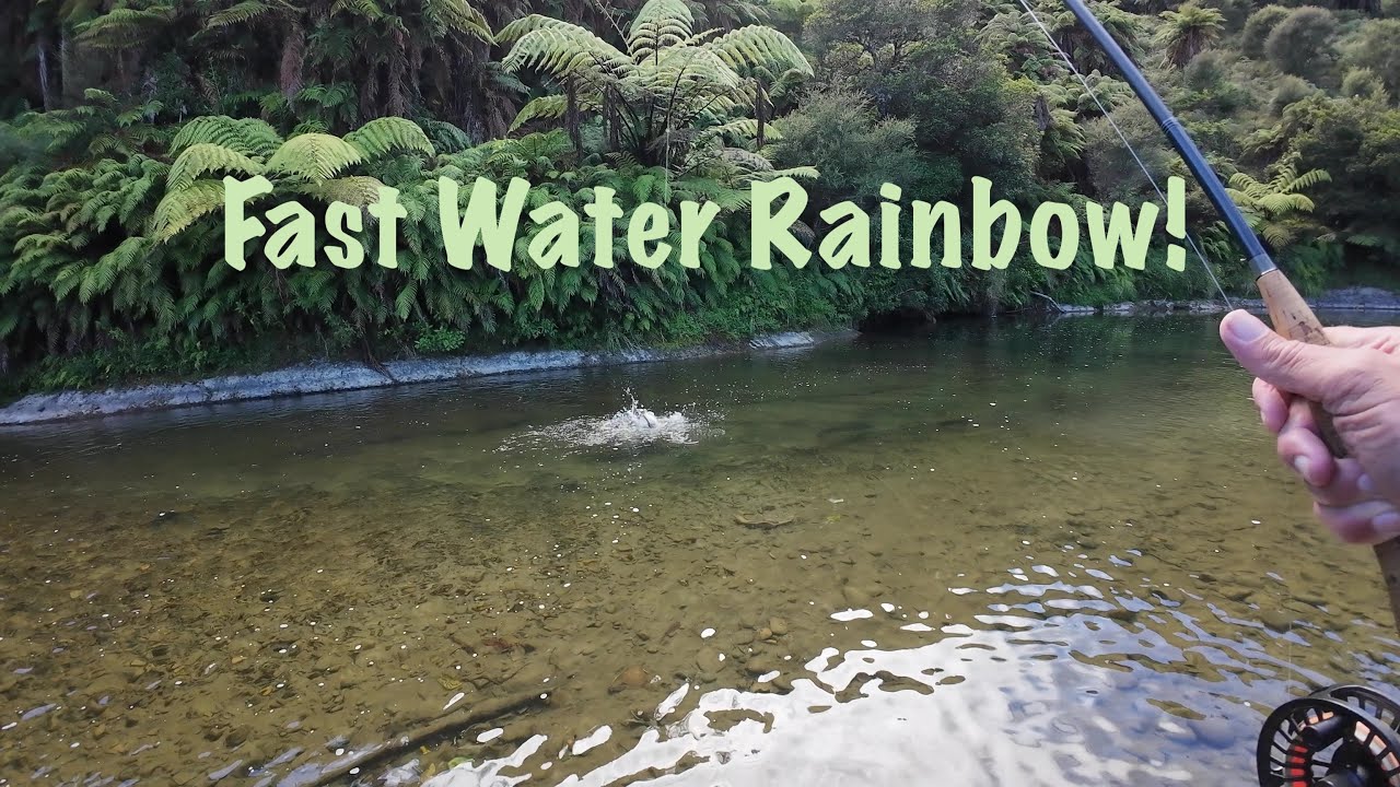 Never-Fail Pool Fast Water Rainbow - Nymph Rod Time! - YouTube