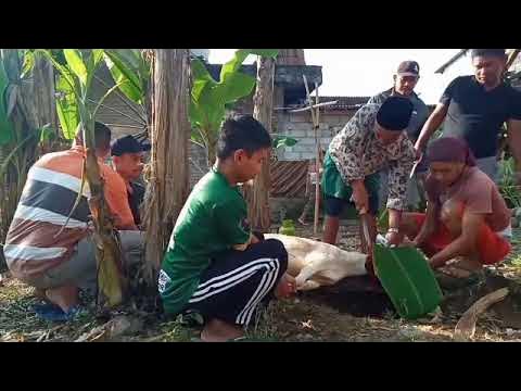 DKM AL MA'SUM || PELETAKAN BATU PERTAMA MUSHOLA AL MA'SUM - YouTube
