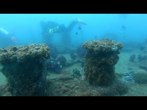 Diving the Ex-HMAS Brisbane - 2018 - YouTube