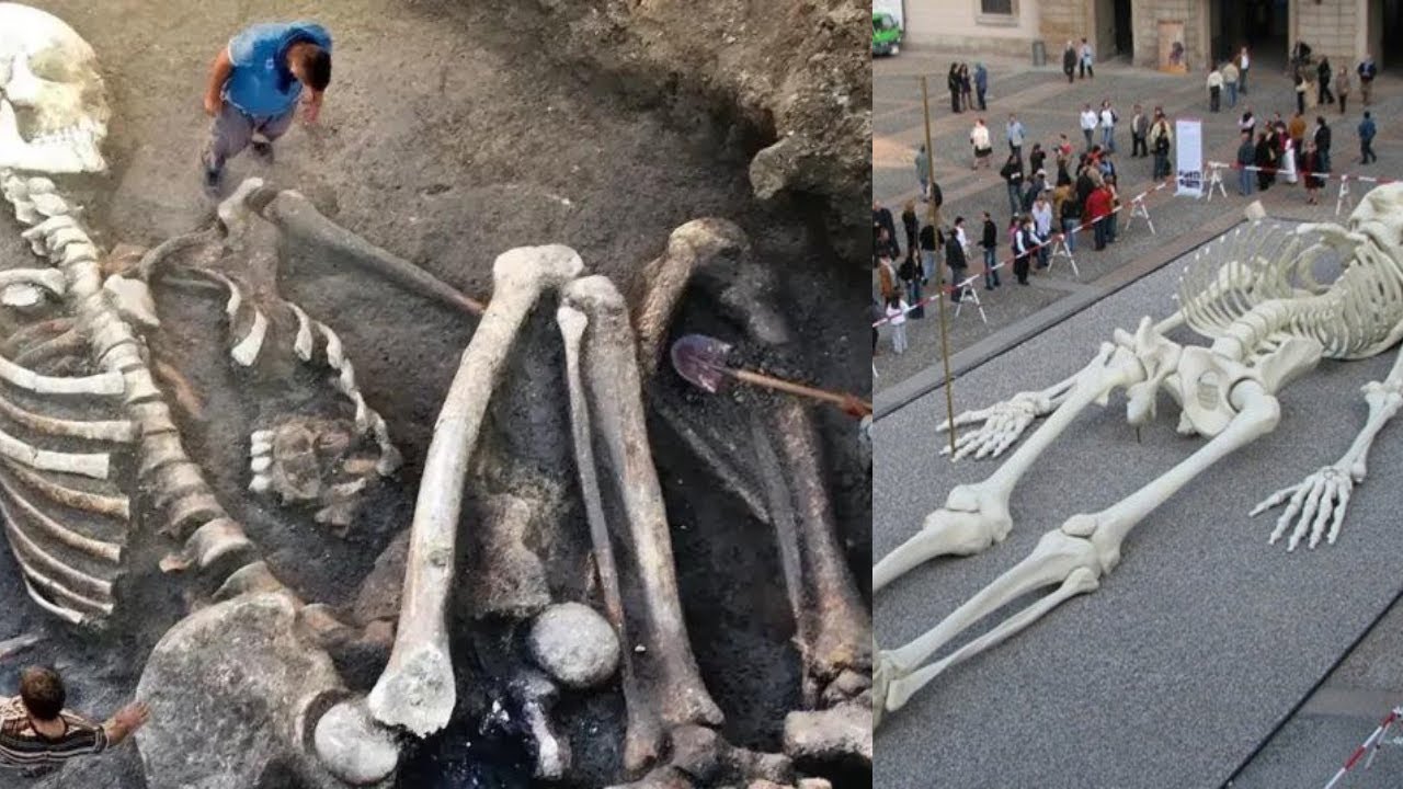 Giant Skeletons Found: 5 Shocking Discoveries - YouTube