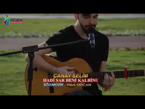 hadi sar beni kalbine CANAY SELİM ♥ ♥Destan Ökten
