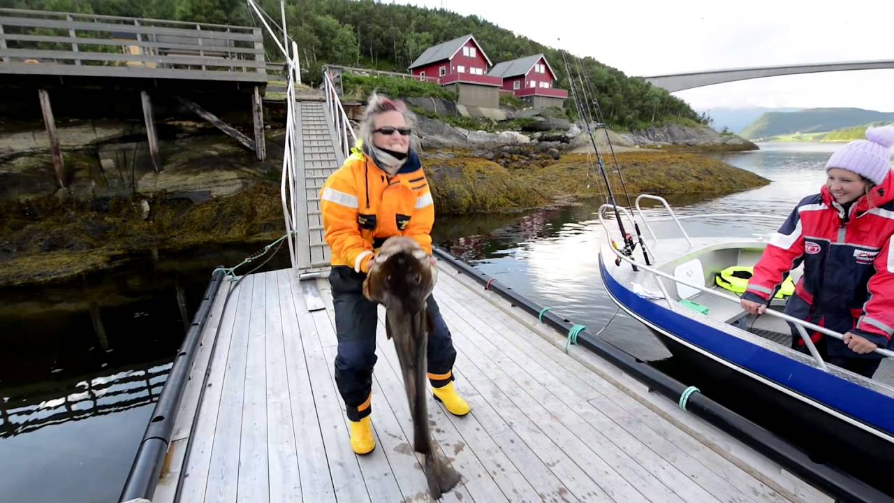 Din Tur seafishing destinations - Helgeland fjordferie - YouTube