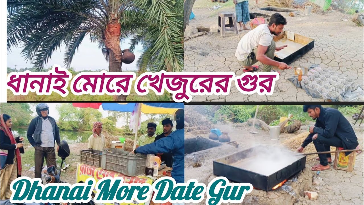ধানাই মোরে খেজুরের গুর ||Dhanai More Date Gur|| travelvlog - YouTube