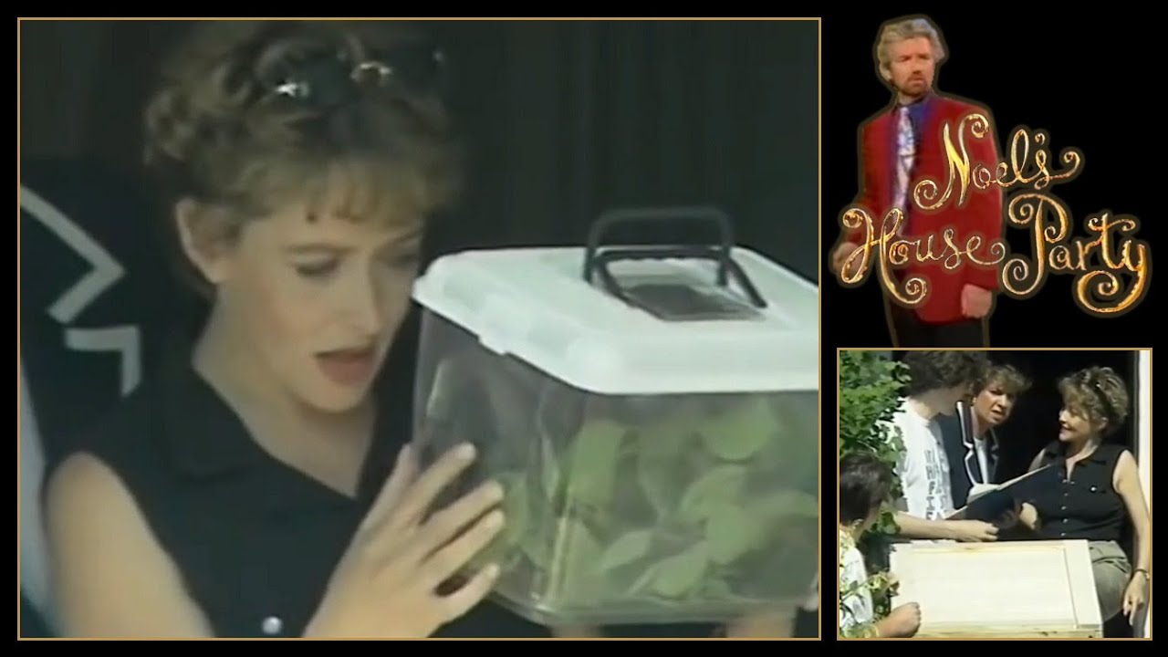 Noel's Gotchas - Jenny Hull - YouTube