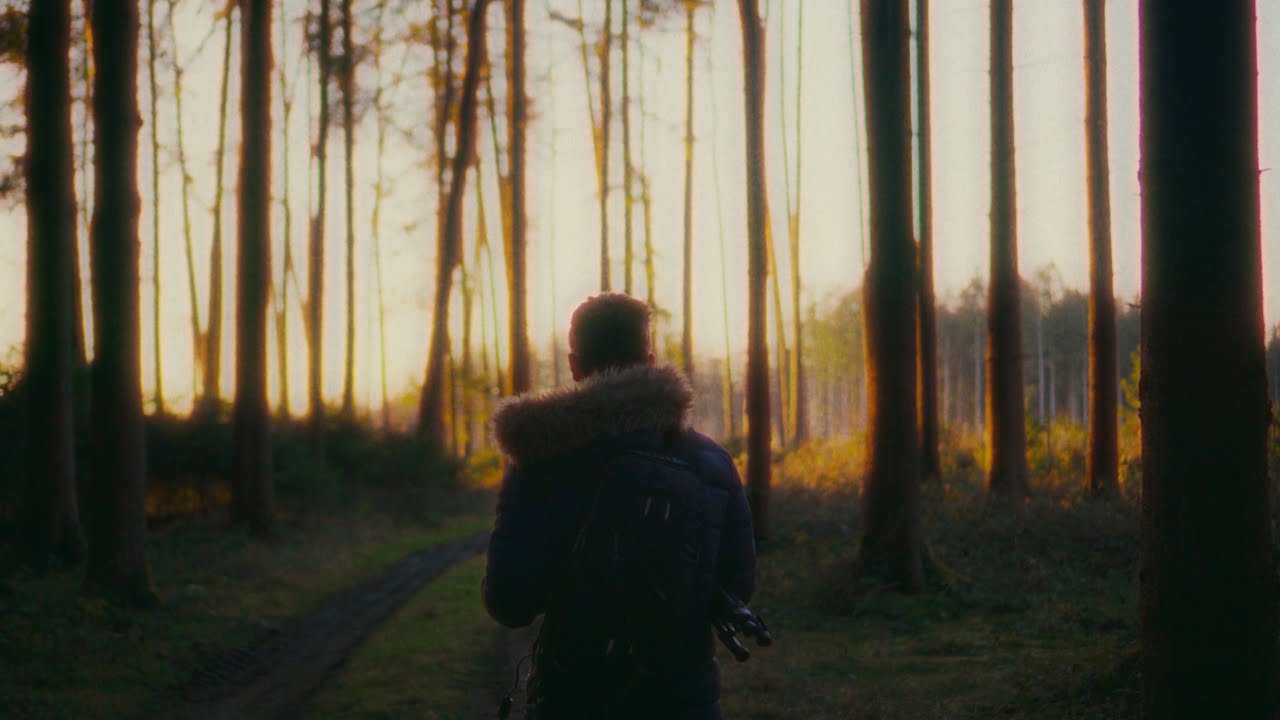 FOREST 🌳 | Cinematic Video, 8-Bit 4k Footage, 16mm Film Emulation, Sony ...