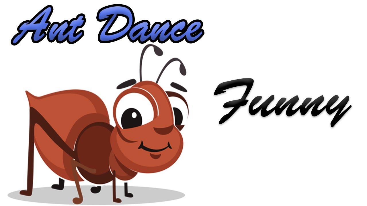 Ant Funny Dance Video - YouTube