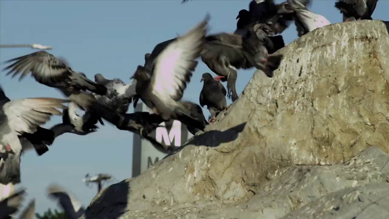 f33t trailer - YouTube