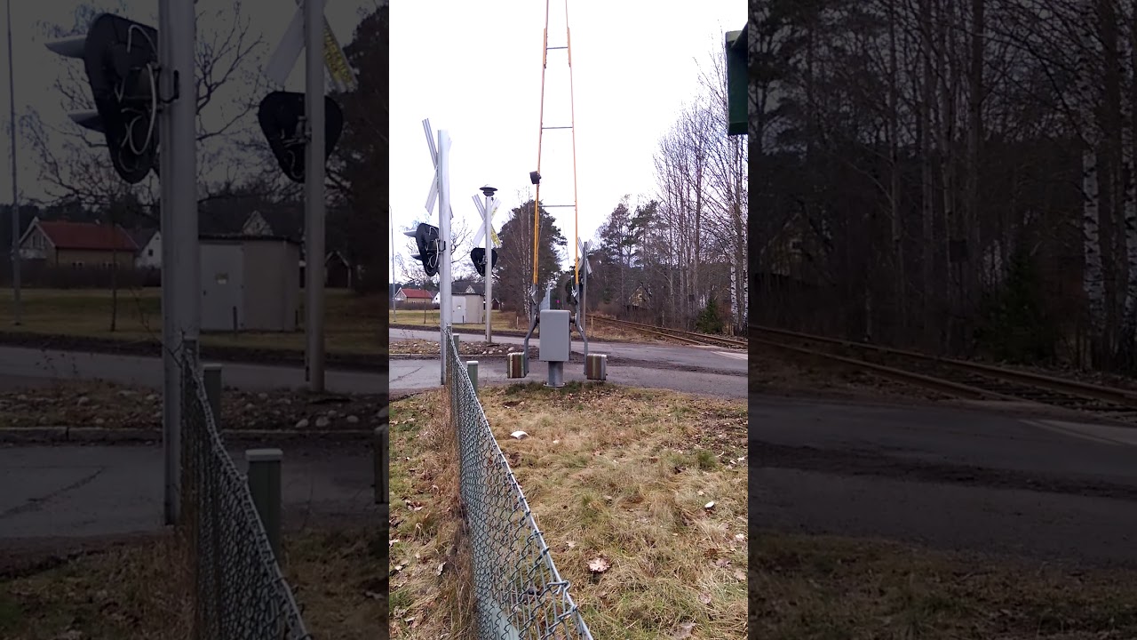 Loud machine - YouTube