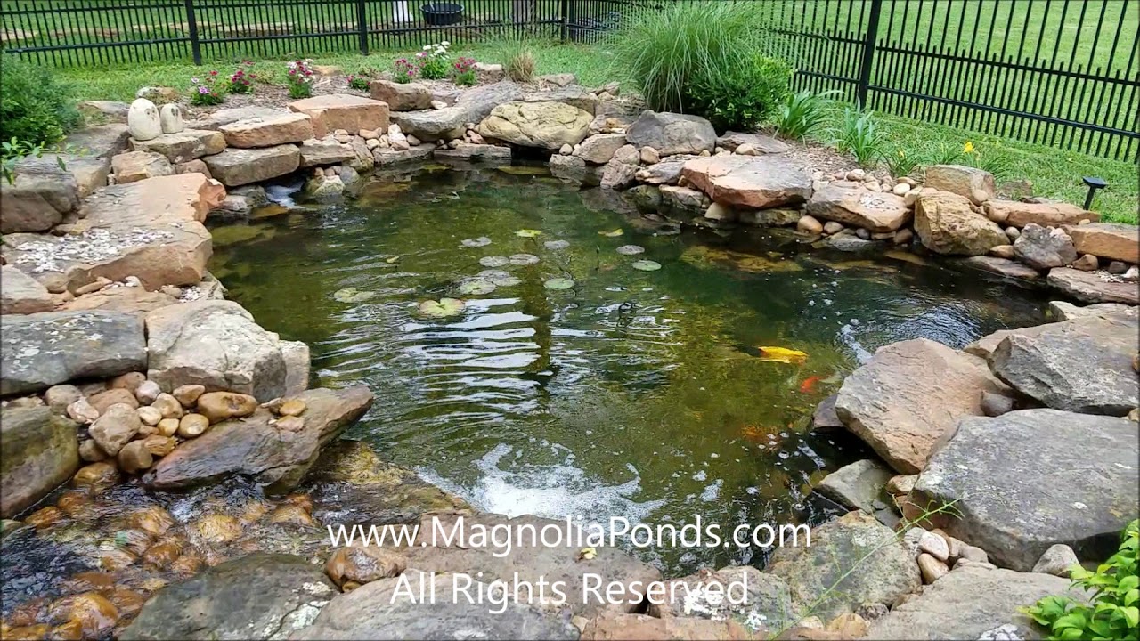 Koi Pond Waterfall Conroe TX The Woodlands Spring TX - YouTube