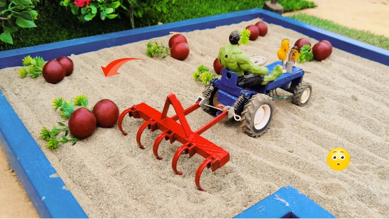 diy agriculture common plum science project/diy tractor agriculture ...