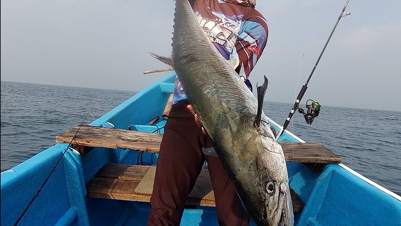 mancing tenggiri laut selatan yang fenomenal - YouTube