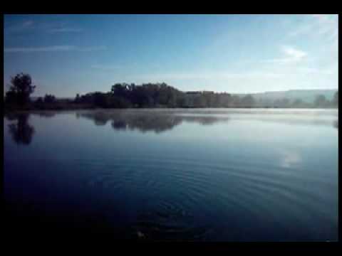 carp carpe fish pêche fishing france meuse - YouTube