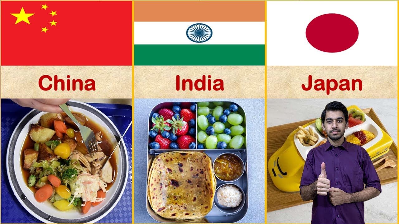 A Comparison of School Lunches Around The World || What School Lunch ...