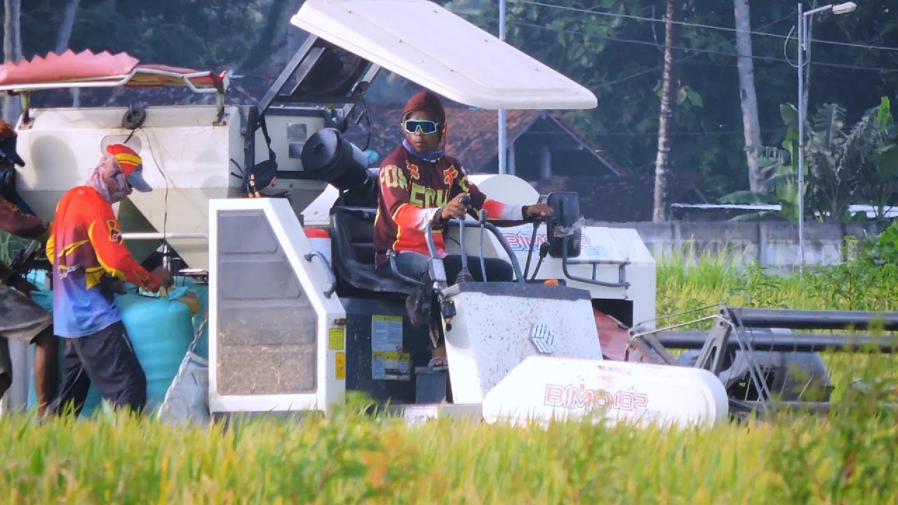 Agricultural Machinery for Small Farms Using Combine Harvester Bimo 102 ...