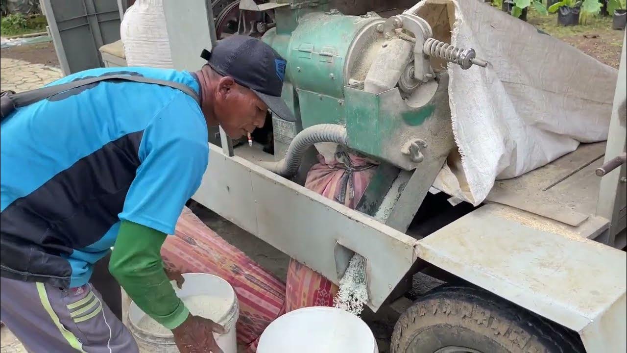 TUTORIAL GILING PADI MENJADI BERAS || SELEPAN KELILING || RICE MILL MOBILE - YouTube