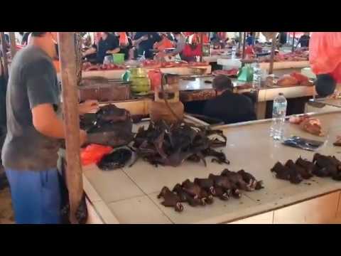 Man Films Indonesian Wet Market Selling Bats, Rats and Dogs - YouTube