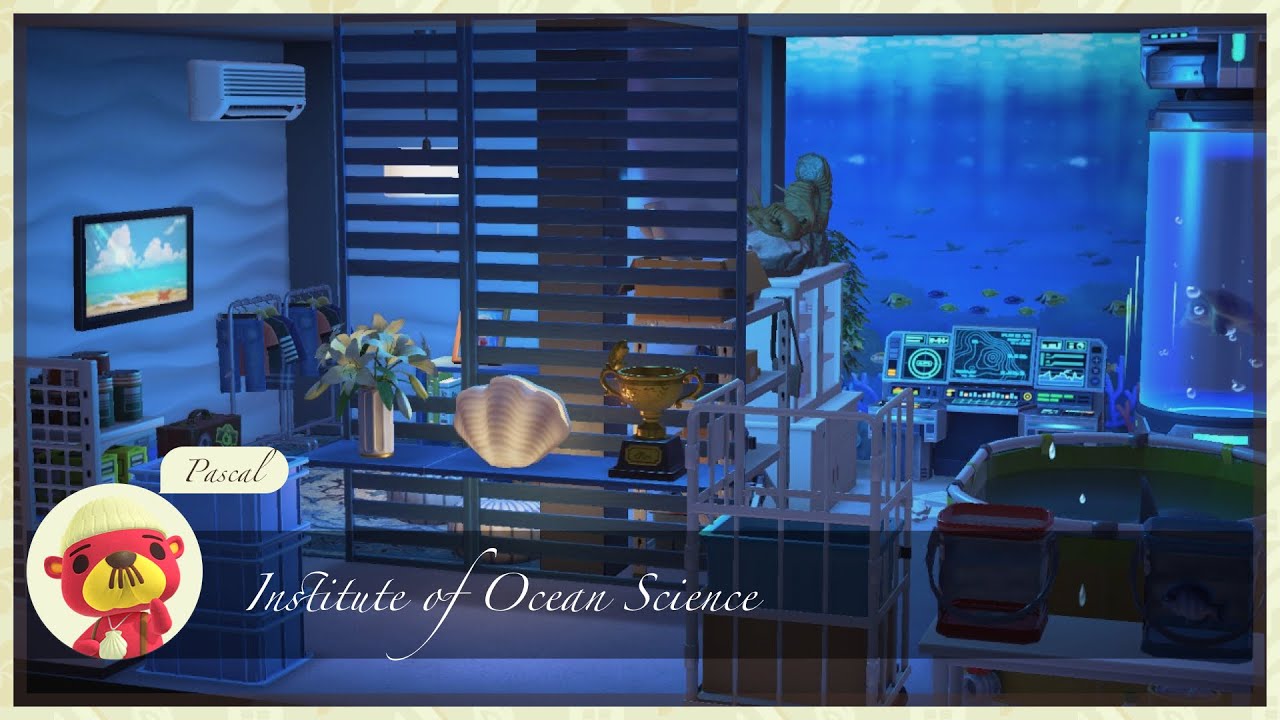 ACNH HHP | Pascal's Institute of Ocean Science | 해탈한 | ラコスケ - YouTube
