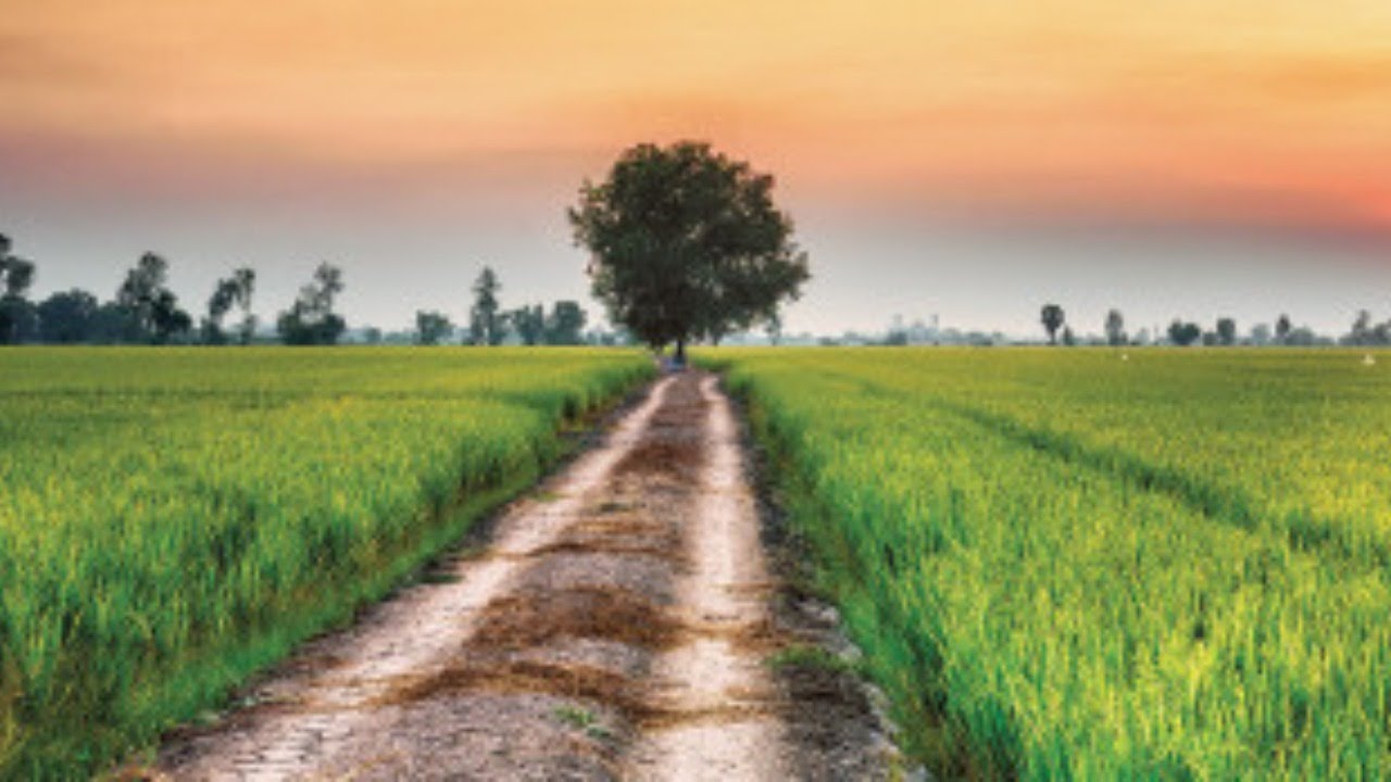 "Make His paths straight" Matthew 3:3 - YouTube