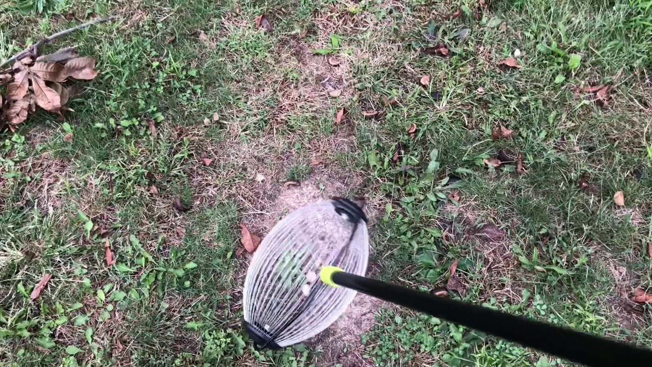 Nut Gatherer 🥜 Nut Picker Upper 🥜 Nut Wizard 🥜 Does It Work? - YouTube