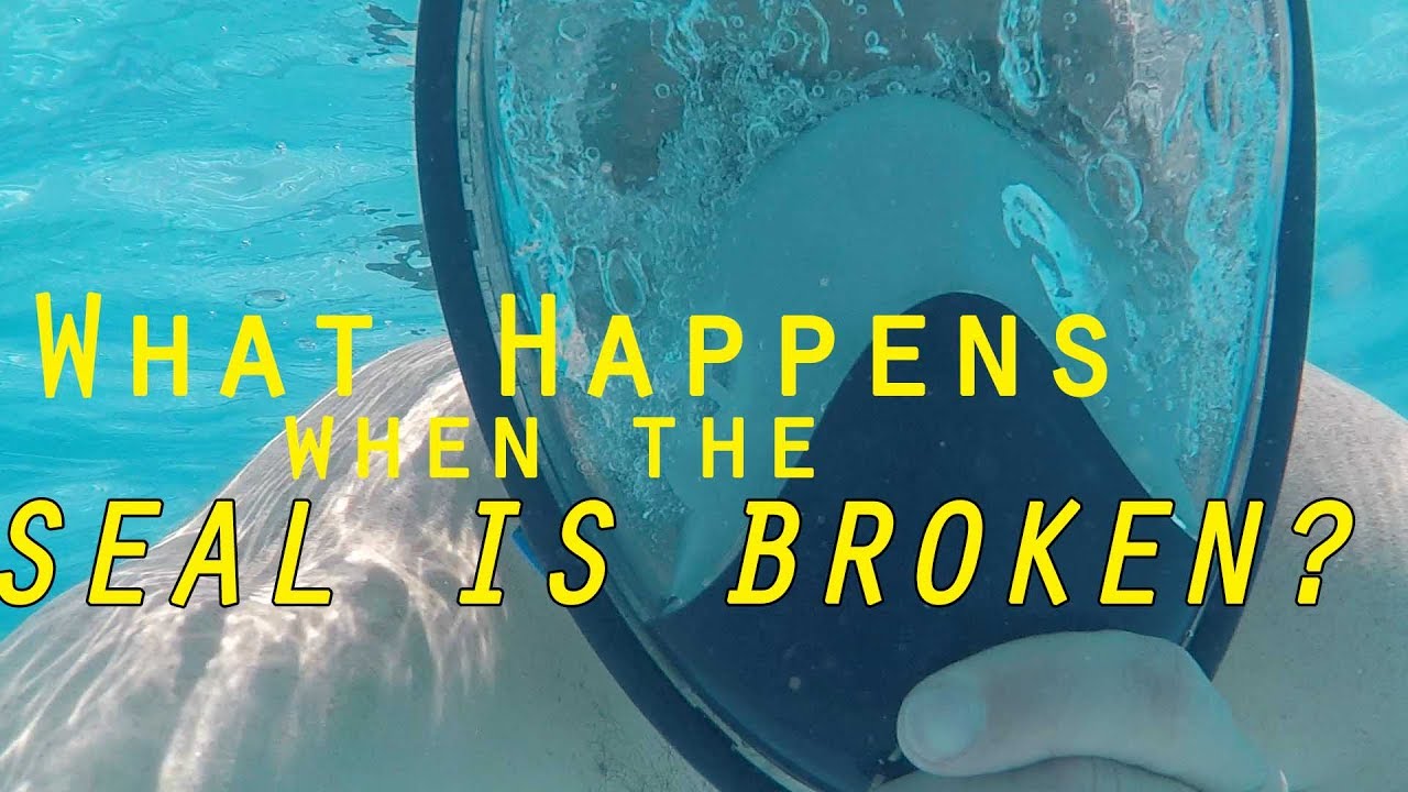 What happens when you lose the seal? HINT - it's not good. - YouTube