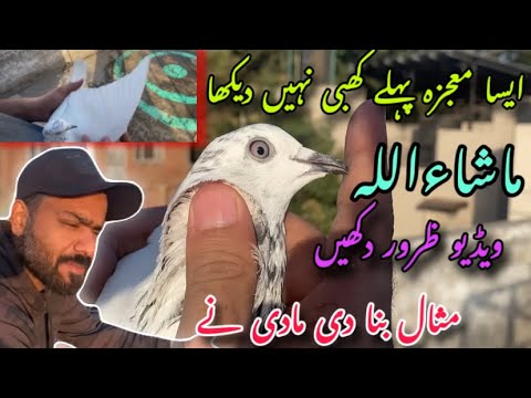 Sami Rajput Ki Wehshi Pathi Ny Hairat Me Dal Diya ( Aisa Mojza Phele ...