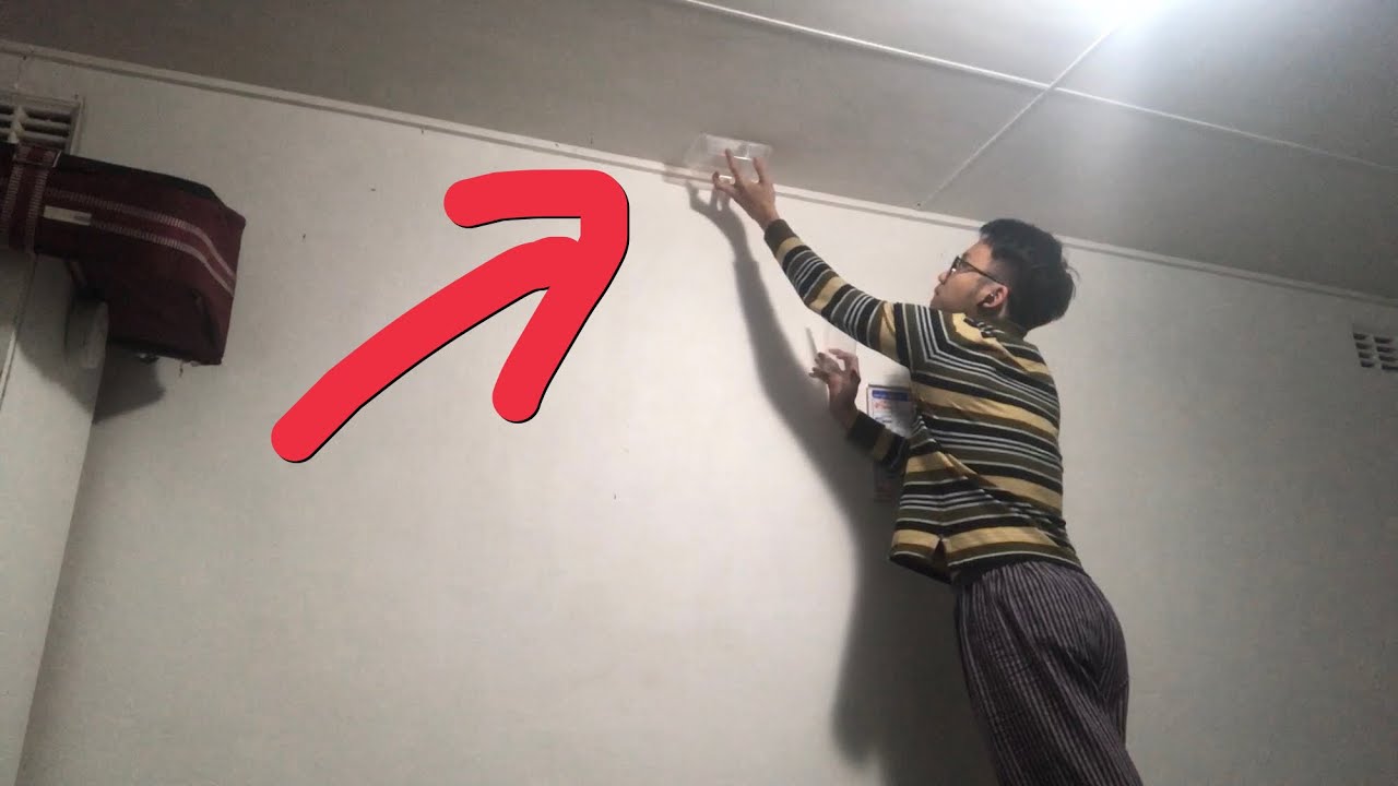 1 Quick And Easy Way To CATCH INSECTS And Avoid Killing Them - YouTube